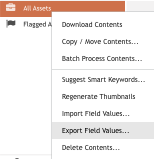 Importing and Exporting Metadata Field Values in Portfolio 4 – Extensis