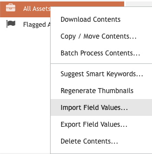 Importing and Exporting Metadata Field Values in Portfolio 4 – Extensis